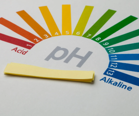 How Is Alkalinity Different From PH Level? - EcoWater Texas